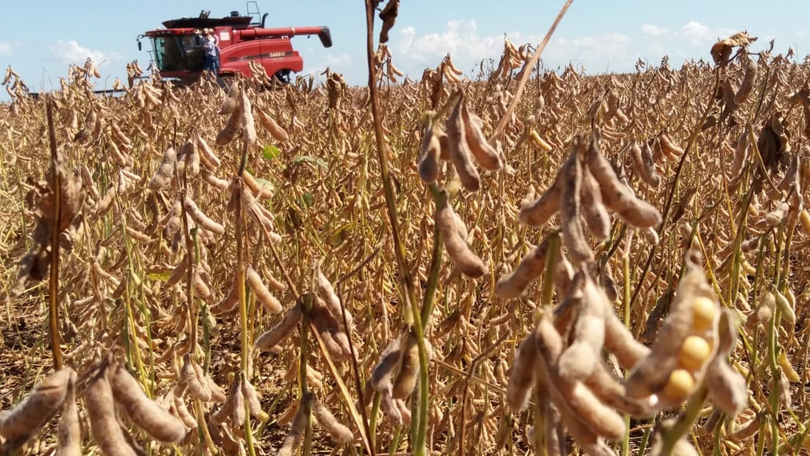 AgroFerti – O resultado, você vê no campo | Londrina – PR